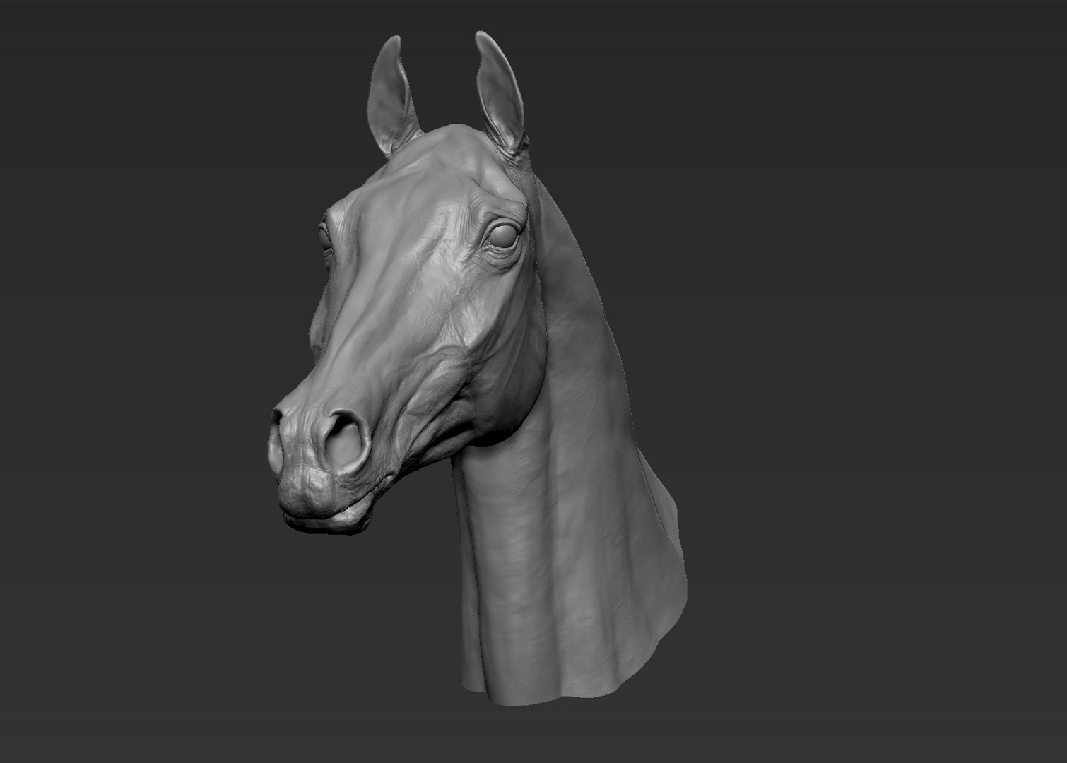 3D Horse Head Realistic - TurboSquid 1379389