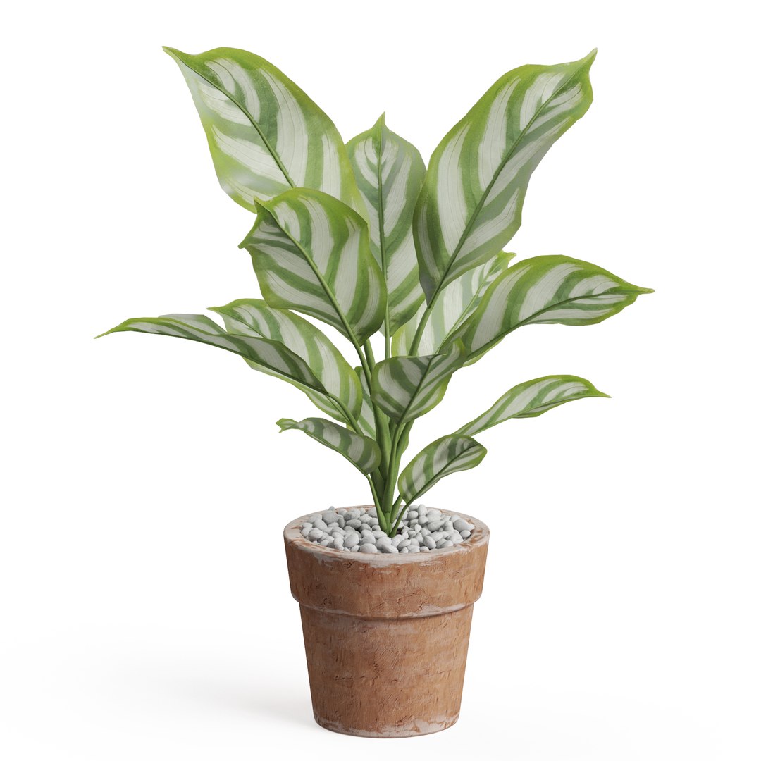 3D Plants Collection 766 - TurboSquid 1941724