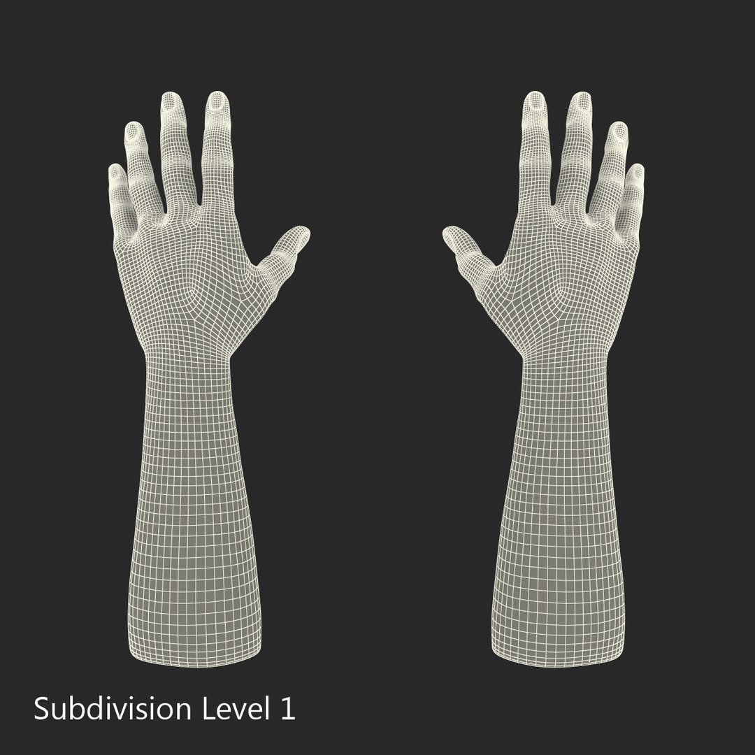 3d model man hands rigged