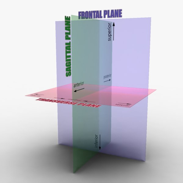 Free 3D Rectangle Models | TurboSquid