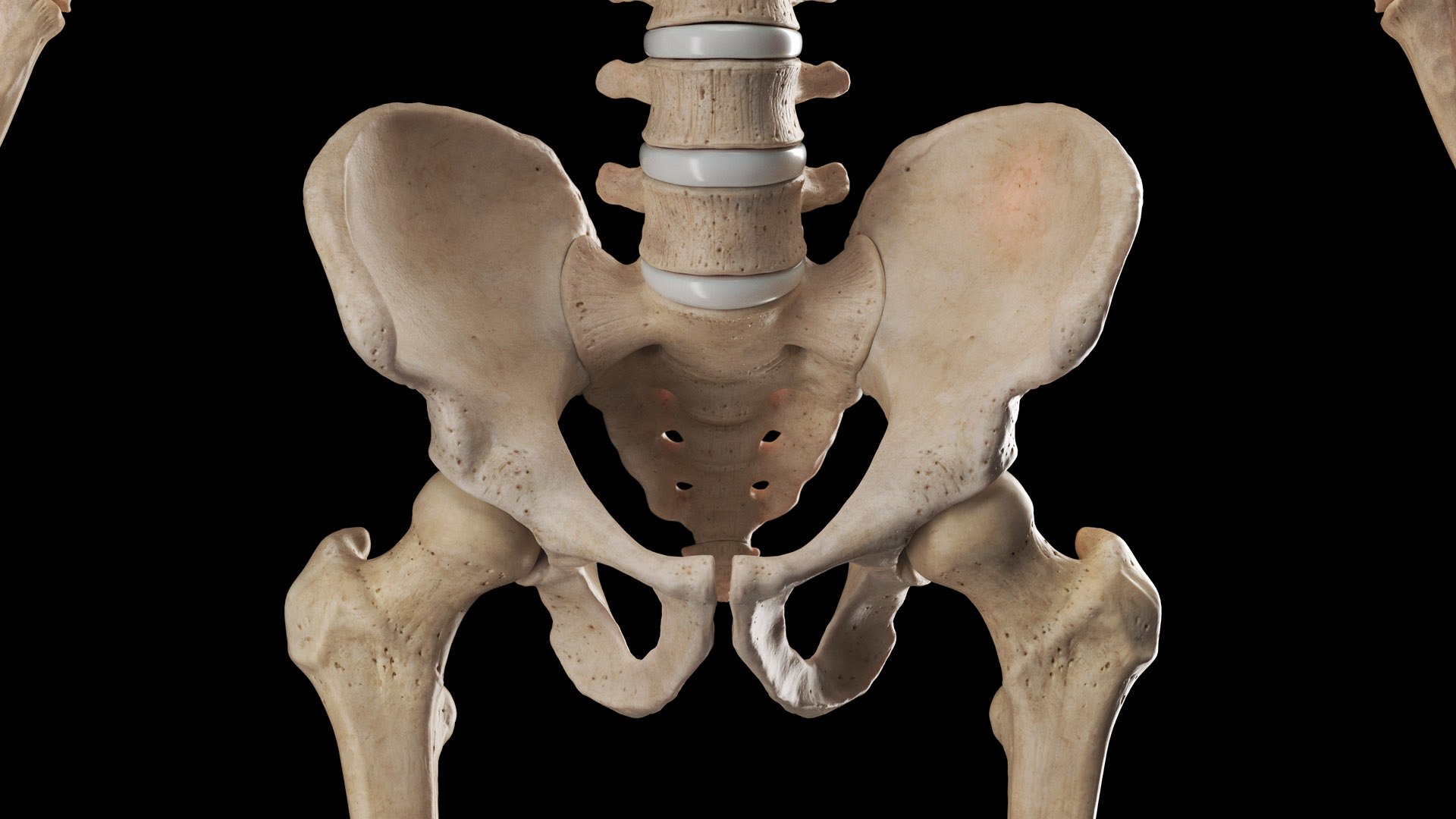 3D Medically Accurate Male Skeleton Model - TurboSquid 2042231