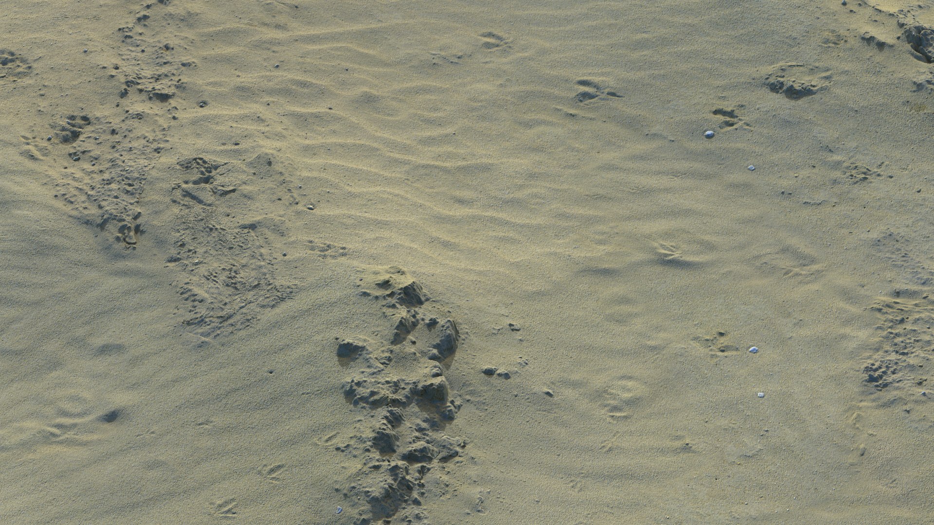 Desert Dune Surface Plan 3D - TurboSquid 2278130