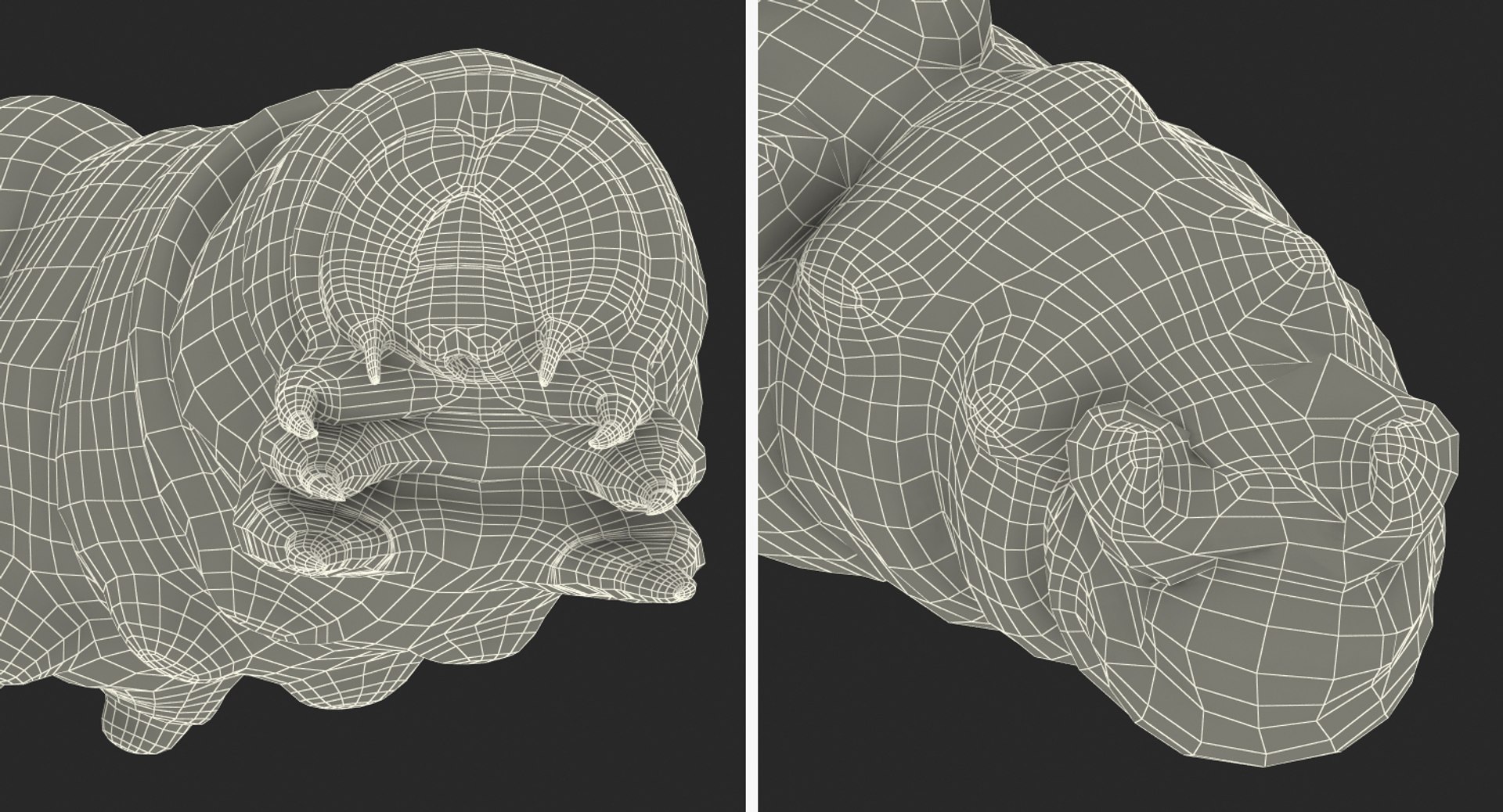 3d caterpillar pose 4