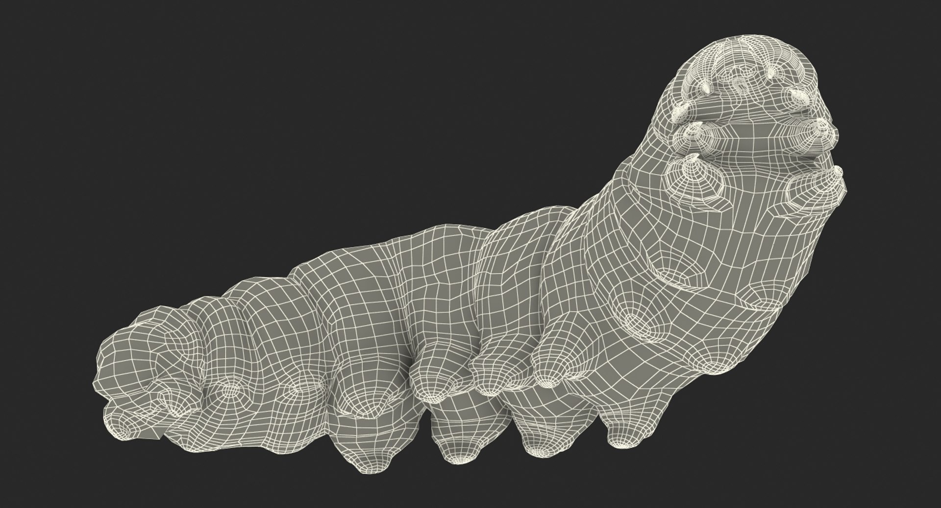 3d caterpillar pose 4