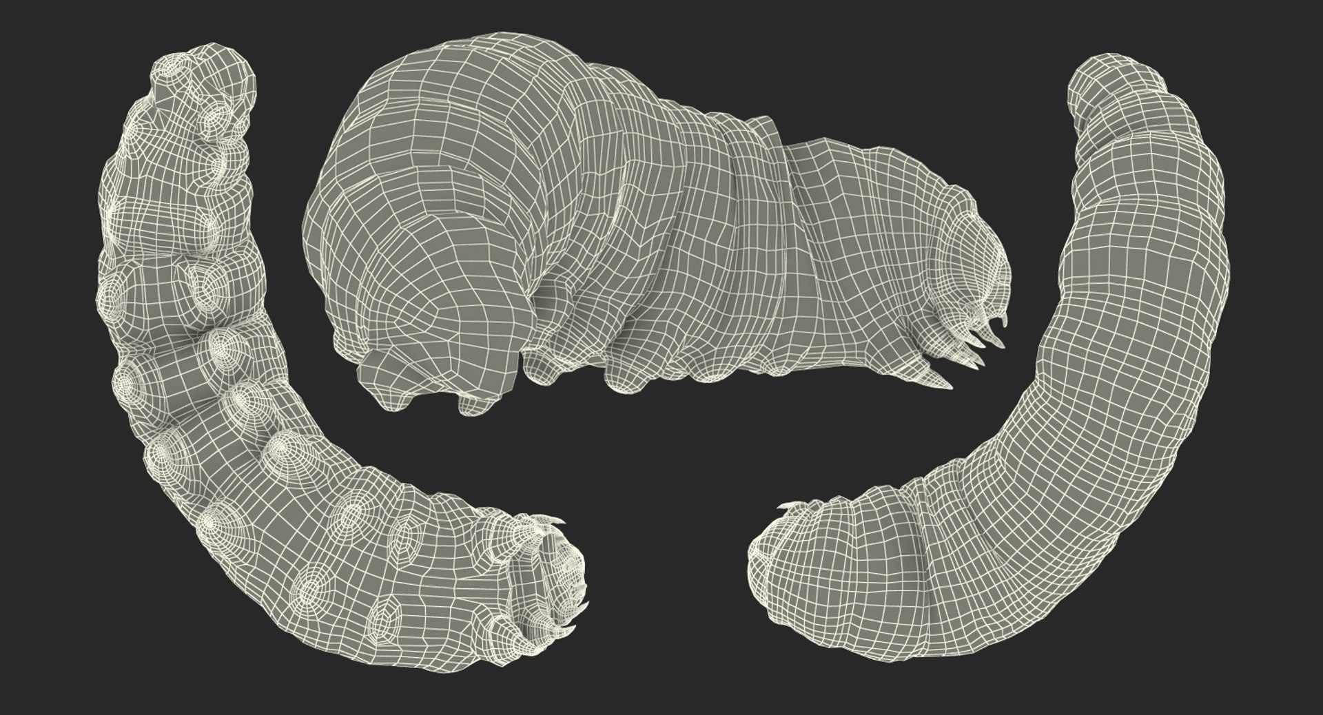 3d caterpillar pose 4