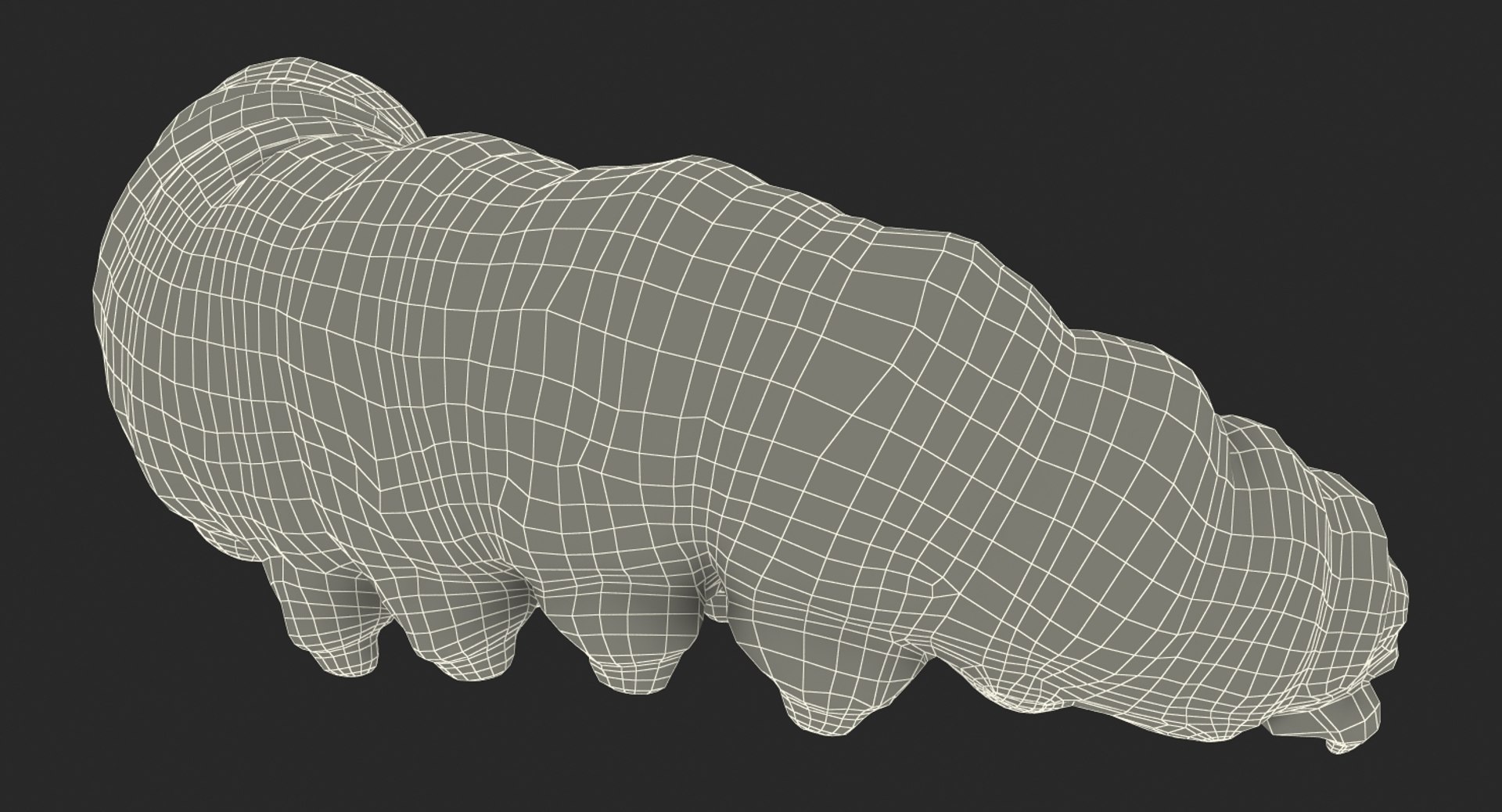 3d caterpillar pose 4