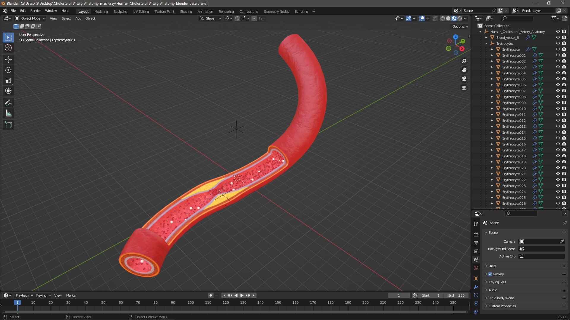 Human Cholesterol Artery Anatomy Model - TurboSquid 2330259