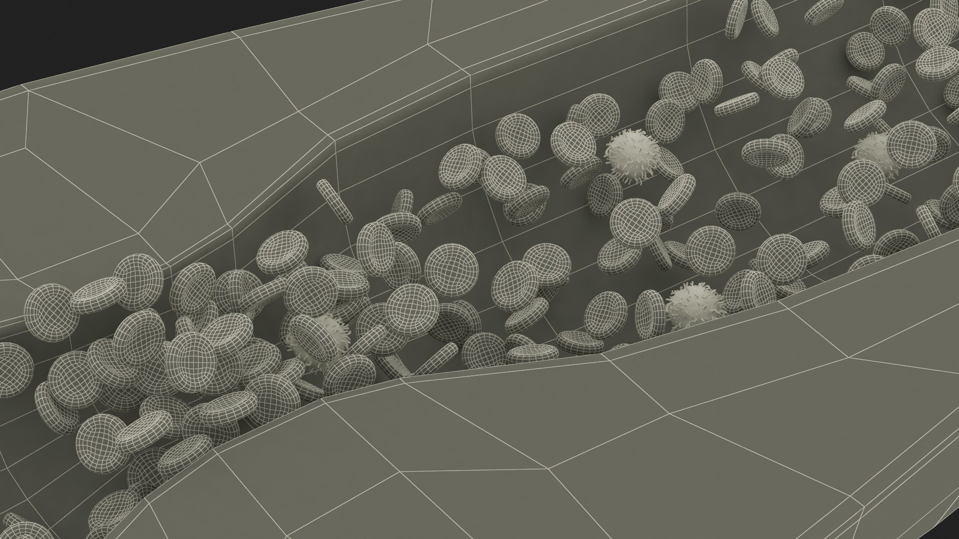 Human Cholesterol Artery Anatomy Model - TurboSquid 2330259