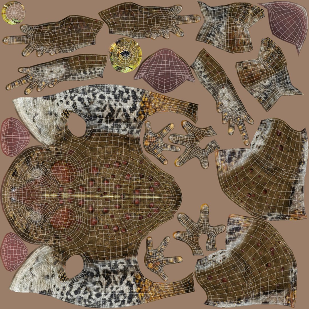 Toad Boreal 3d Model