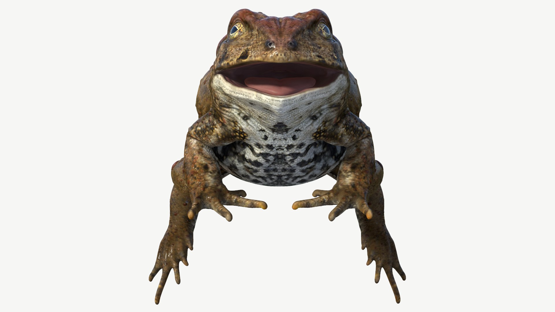 Toad Boreal 3d Model
