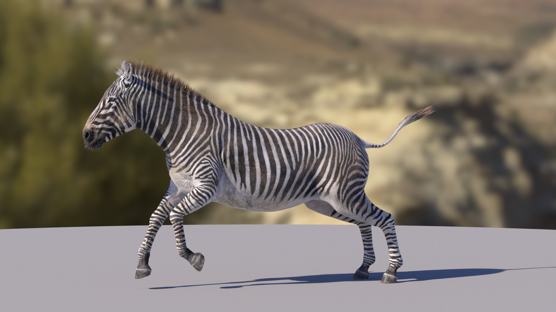 Zebra RIGGED 3D model - TurboSquid 1716556
