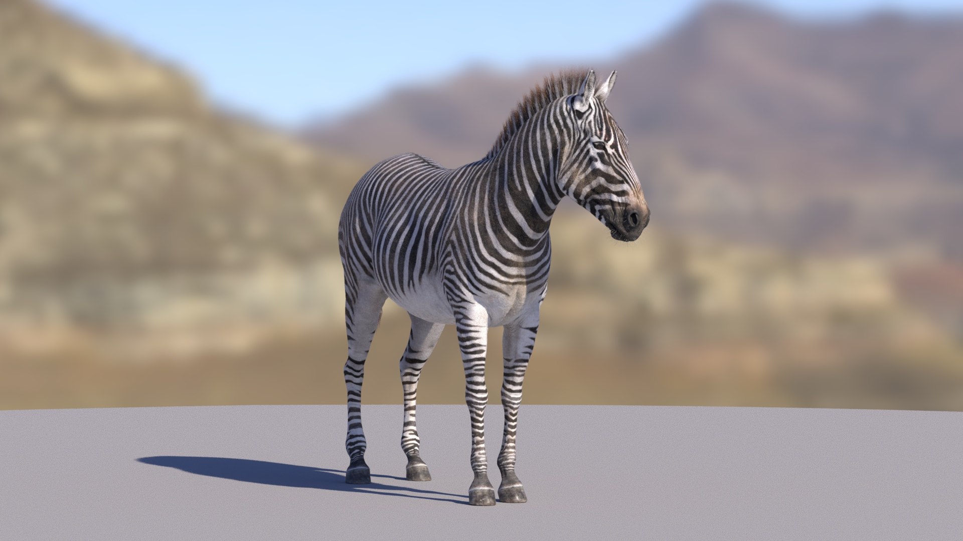 Zebra RIGGED 3D model - TurboSquid 1716556