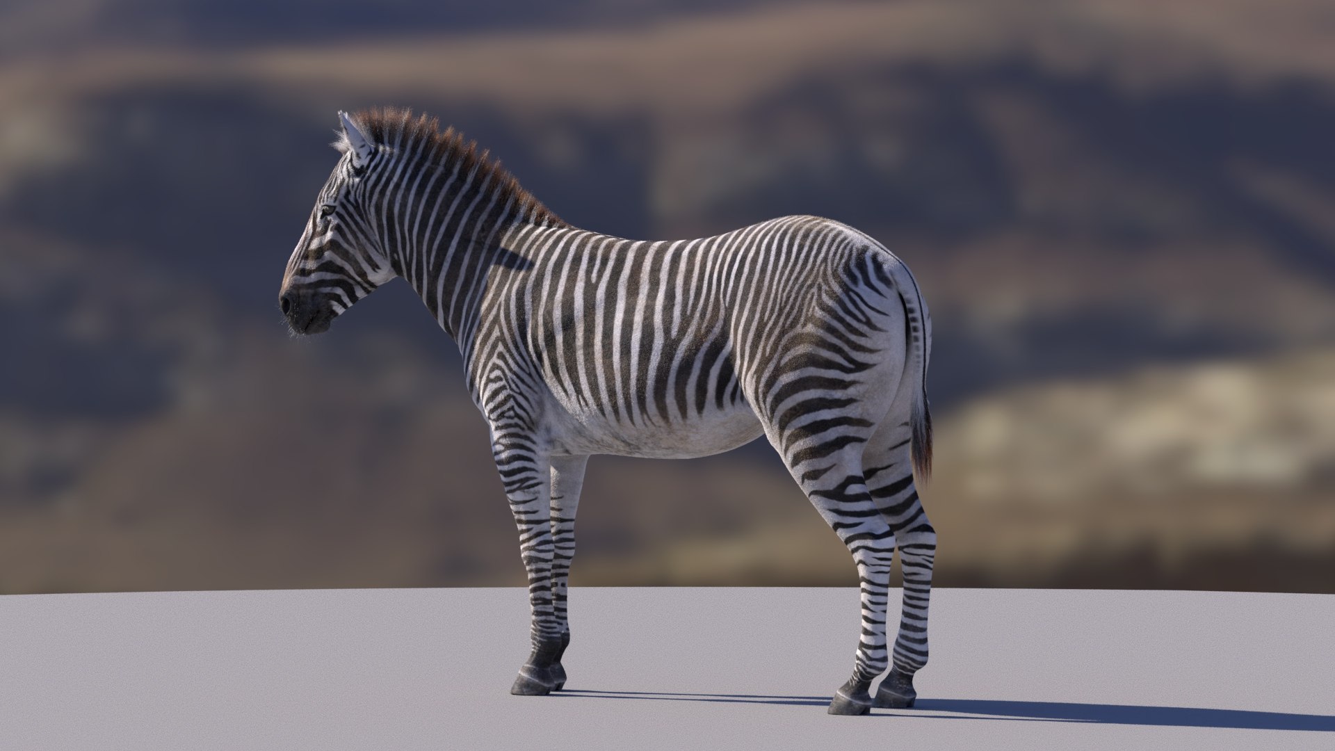 Zebra RIGGED 3D model - TurboSquid 1716556