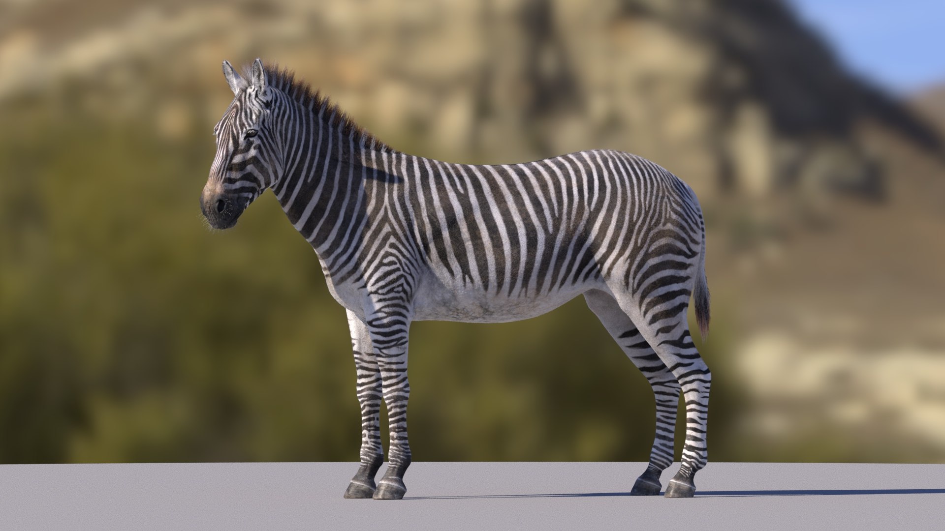 Zebra RIGGED 3D model - TurboSquid 1716556