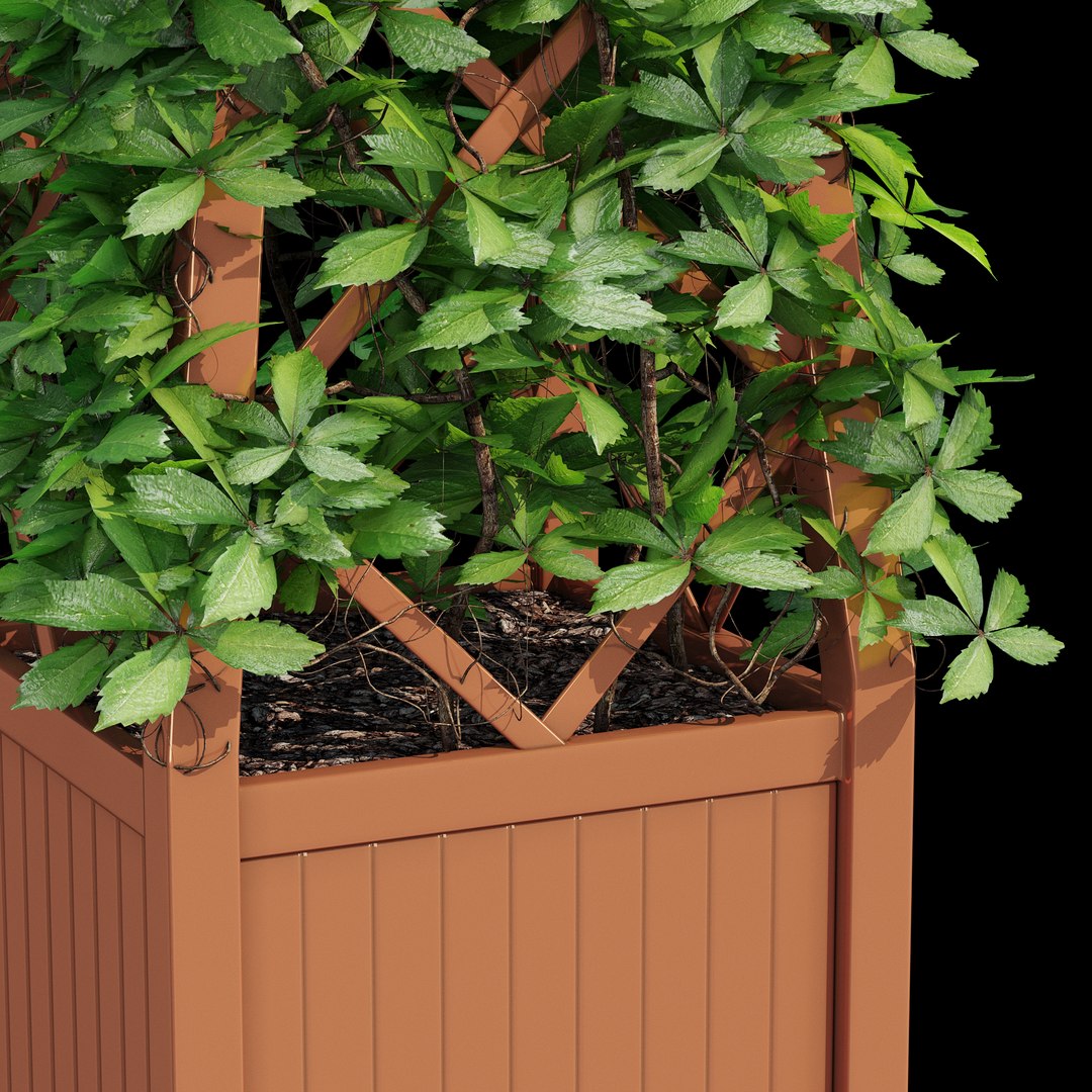 Memphis 3D Model - TurboSquid 1921199