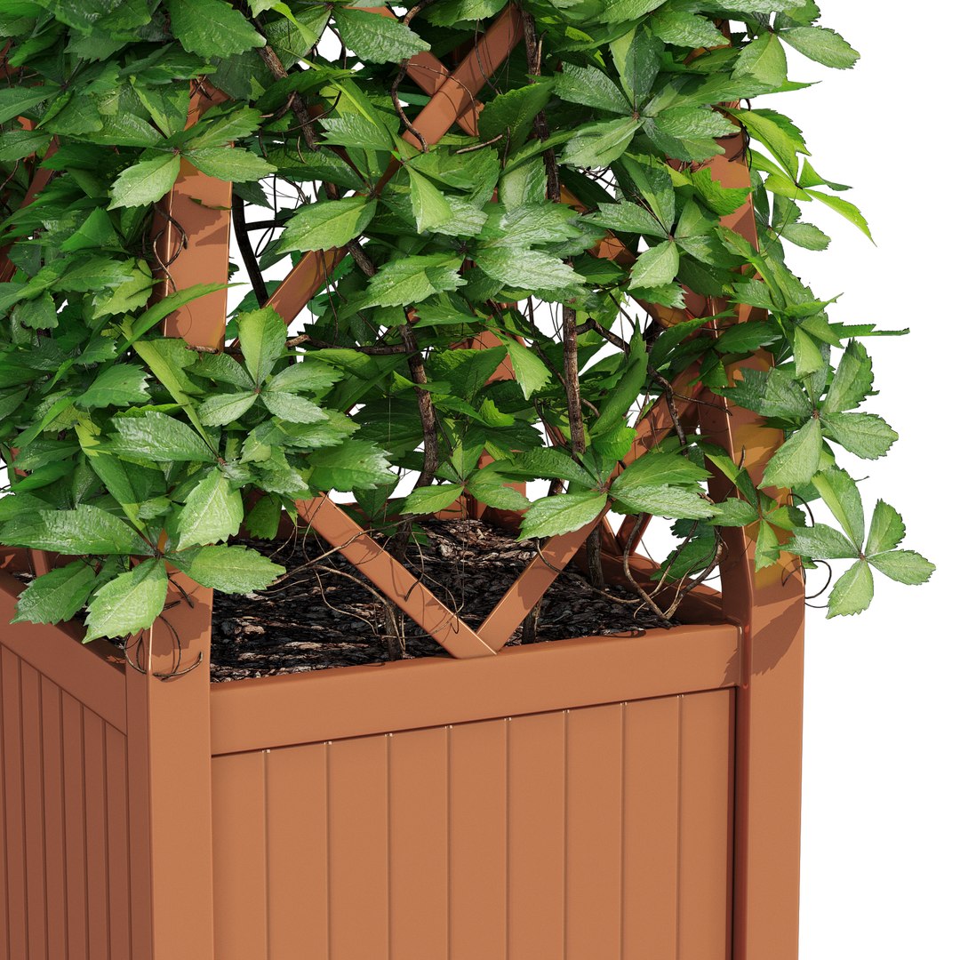 Memphis 3D Model - TurboSquid 1921199