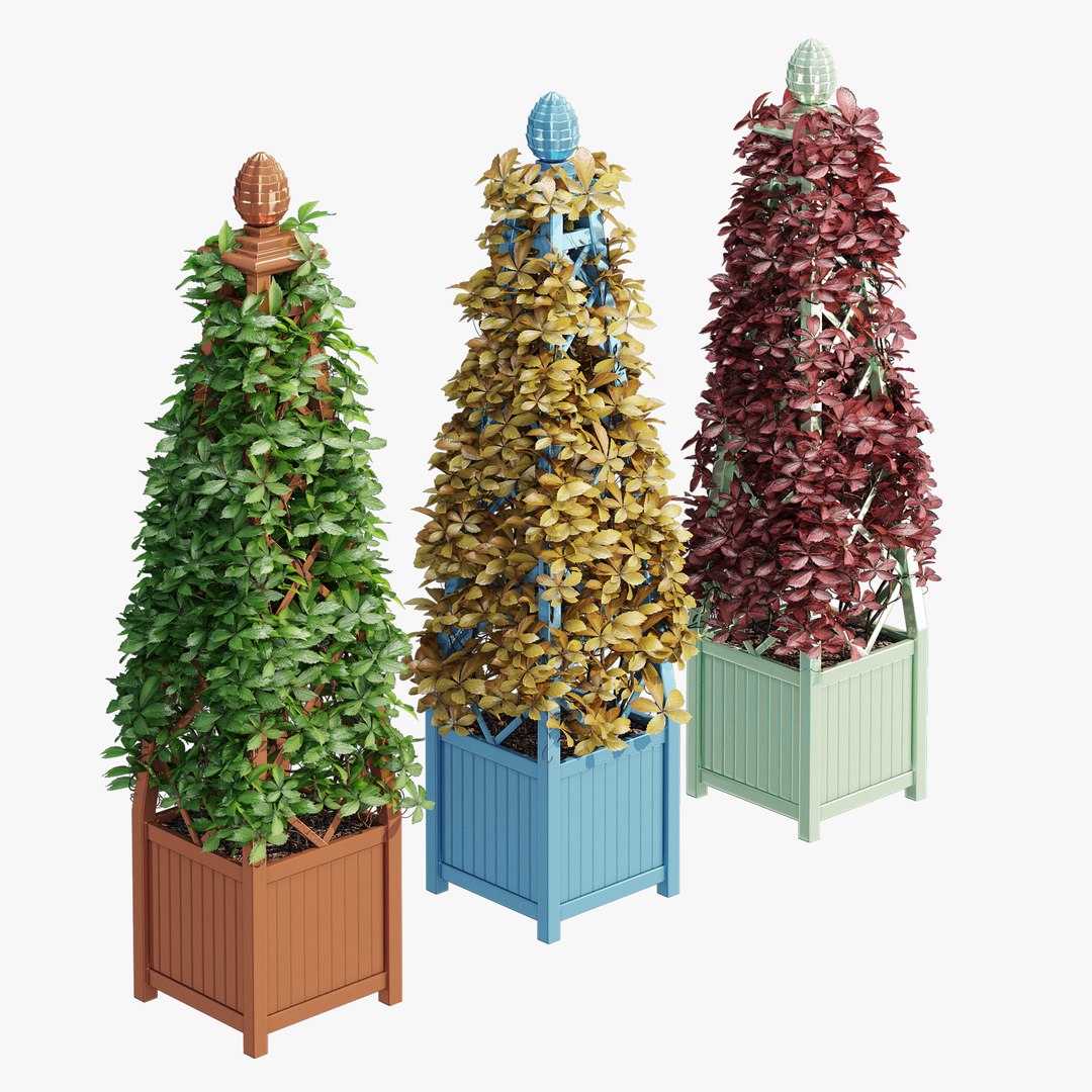 Memphis 3D Model - TurboSquid 1921199