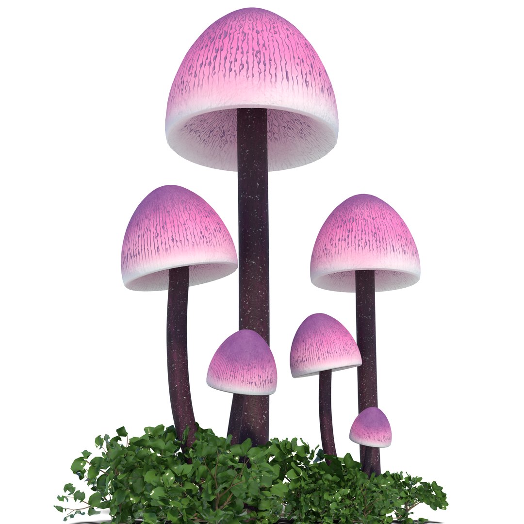 3D Pink Mushroom model - TurboSquid 2095364