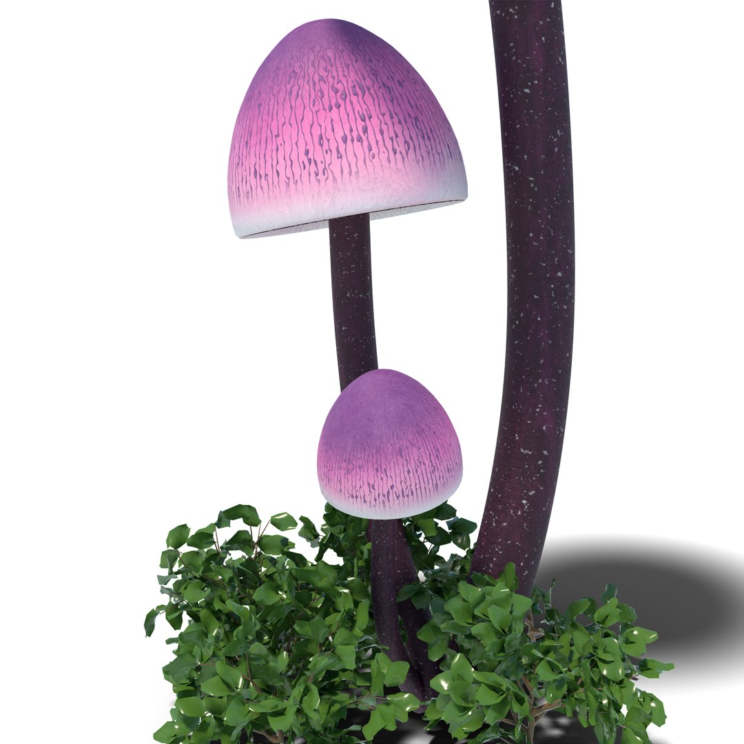 3D Pink Mushroom model - TurboSquid 2095364