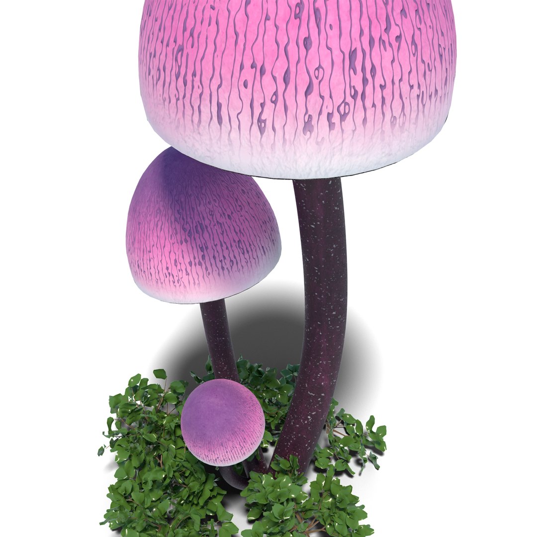 3D Pink Mushroom model - TurboSquid 2095364