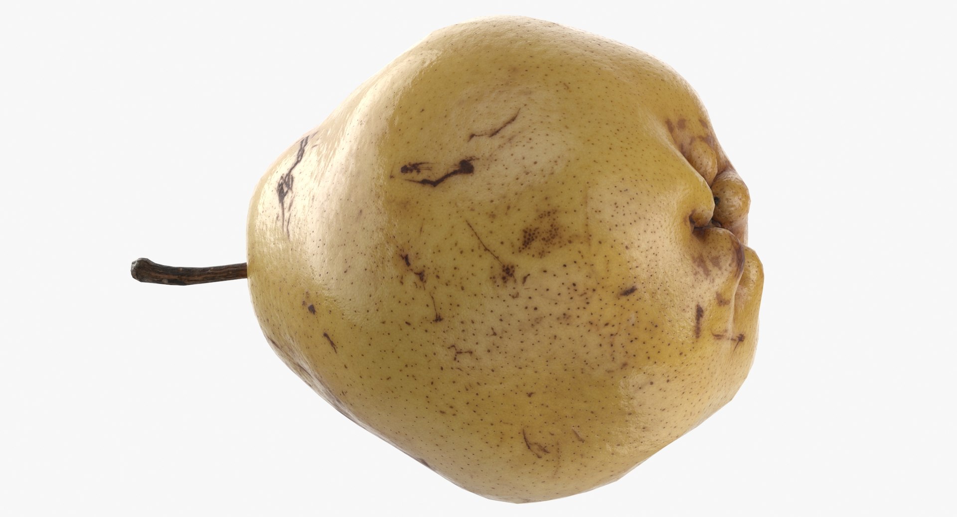 Comice pear 01 games 3D model - TurboSquid 1433139