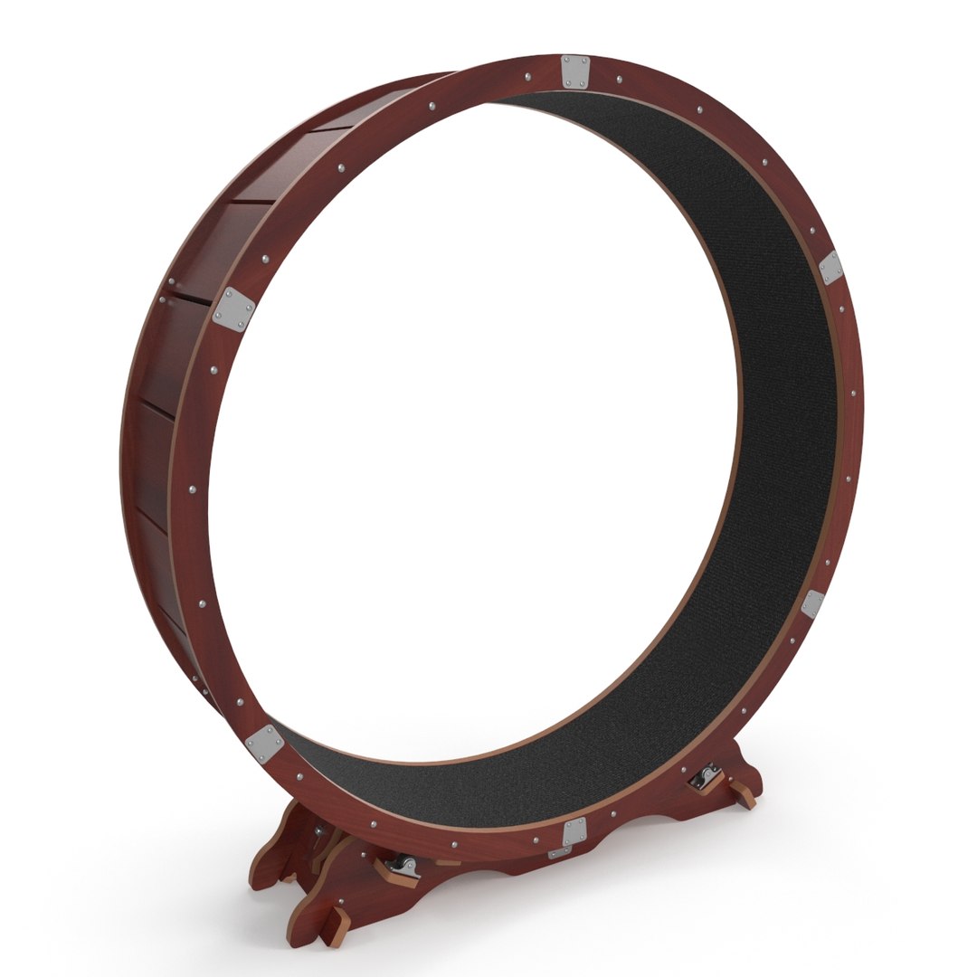 3D Pet Cat Running Treadmill Wheel PBR - TurboSquid 2184154