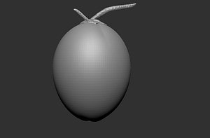 Download 3D Coconut STL Models - TurboSquid