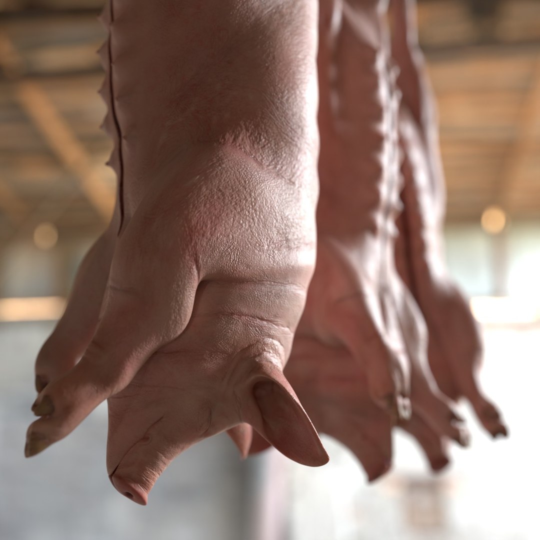 3D Slaughtered Pig Carcass Hanging For Blender - TurboSquid 2499930