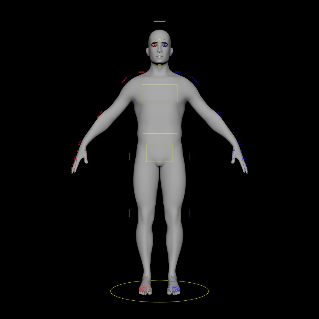 Male character animation rig 3D model - TurboSquid 1398951