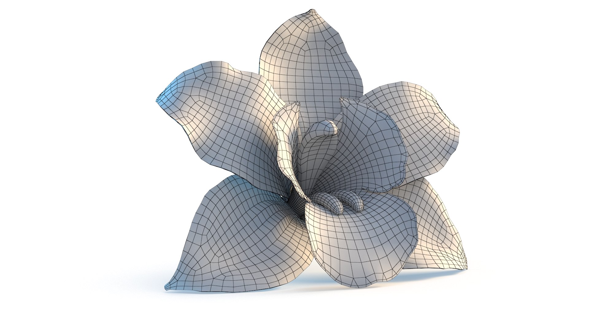 3D 3D Flowers Collection – High-Quality 4K PBR Asset Pack Model ...