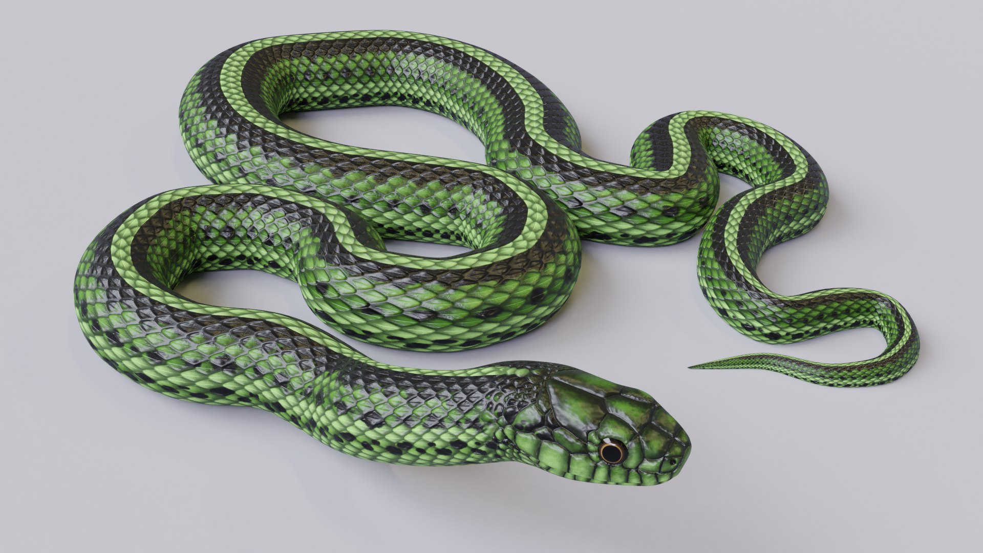 Green Snake Model - TurboSquid 1265391