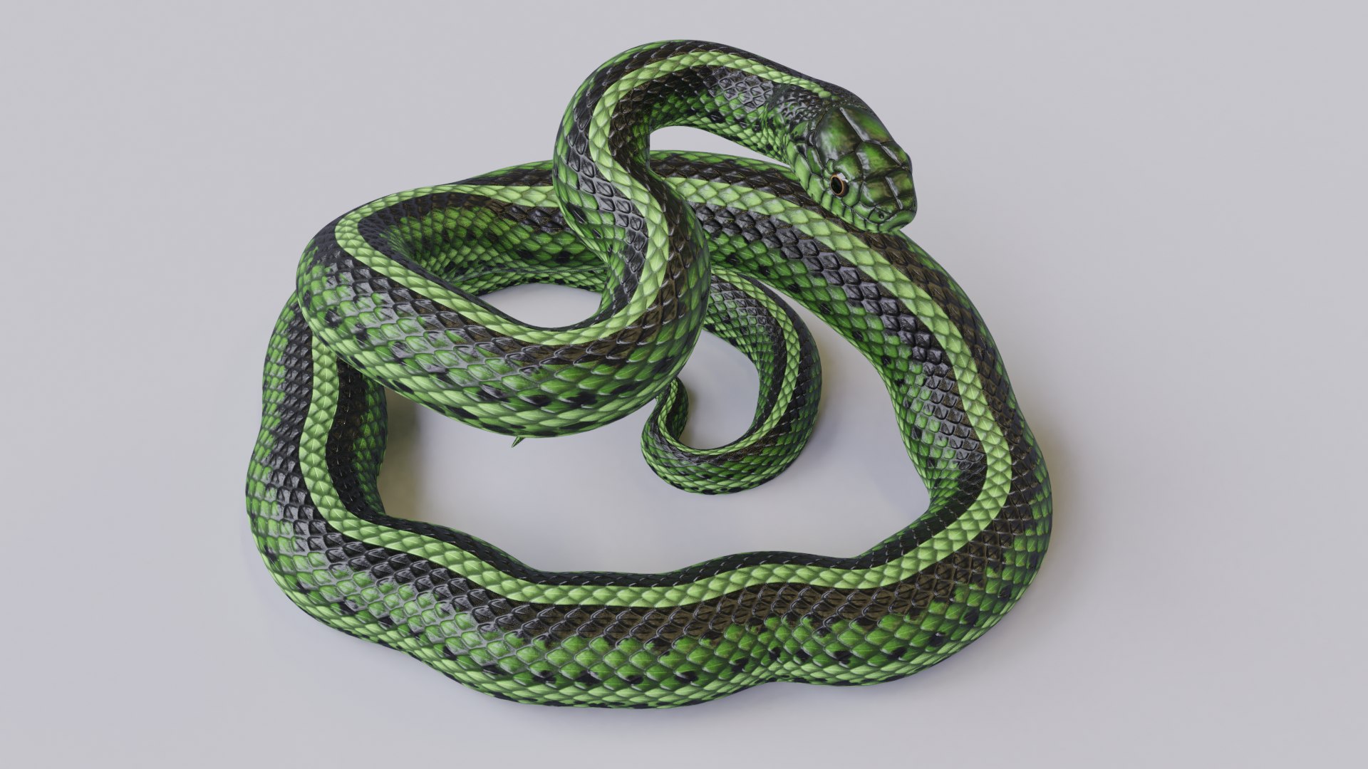Green Snake Model - TurboSquid 1265391