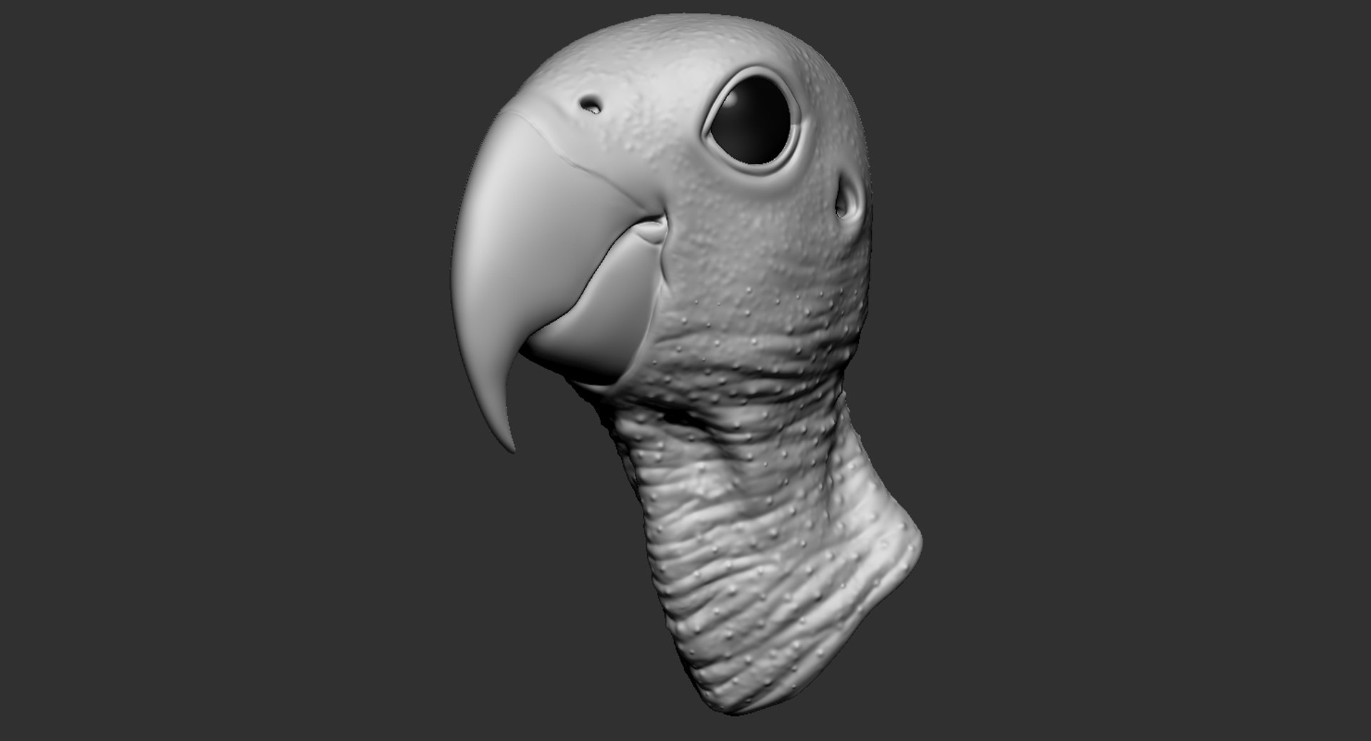 Parrot Head Animal 2019 3D Model - TurboSquid 1428866