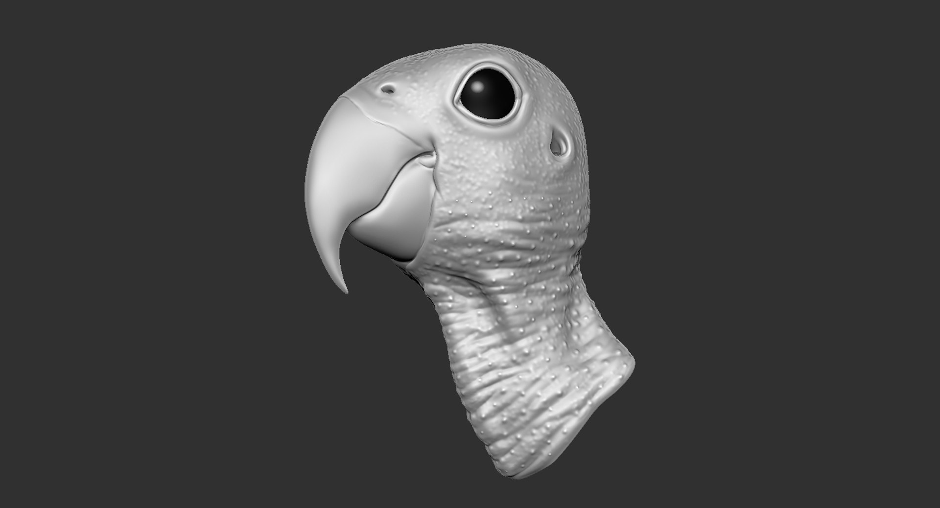 Parrot Head Animal 2019 3D Model - TurboSquid 1428866