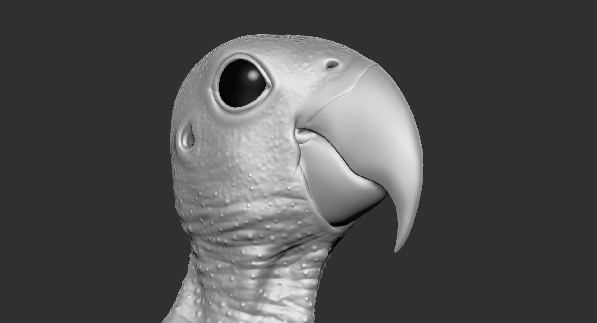Parrot Head Animal 2019 3D Model - TurboSquid 1428866