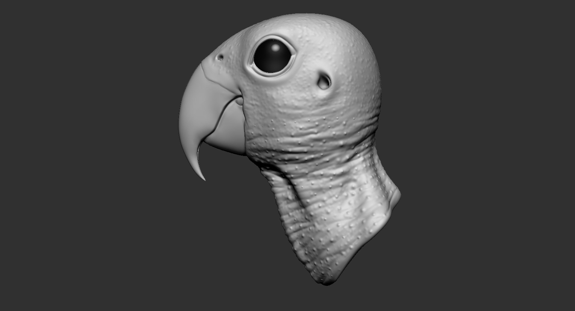 Parrot Head Animal 2019 3D Model - TurboSquid 1428866