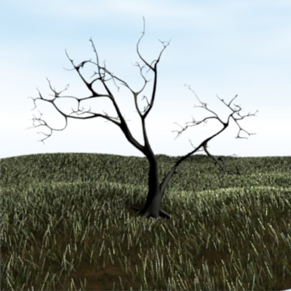 Texture Windows Bitmap dirt ground land