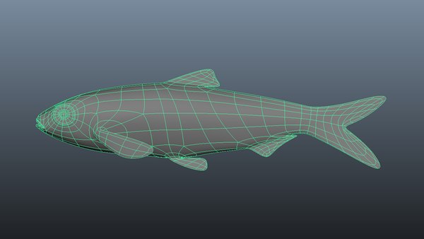 Shad Collection 3D - TurboSquid 1815359