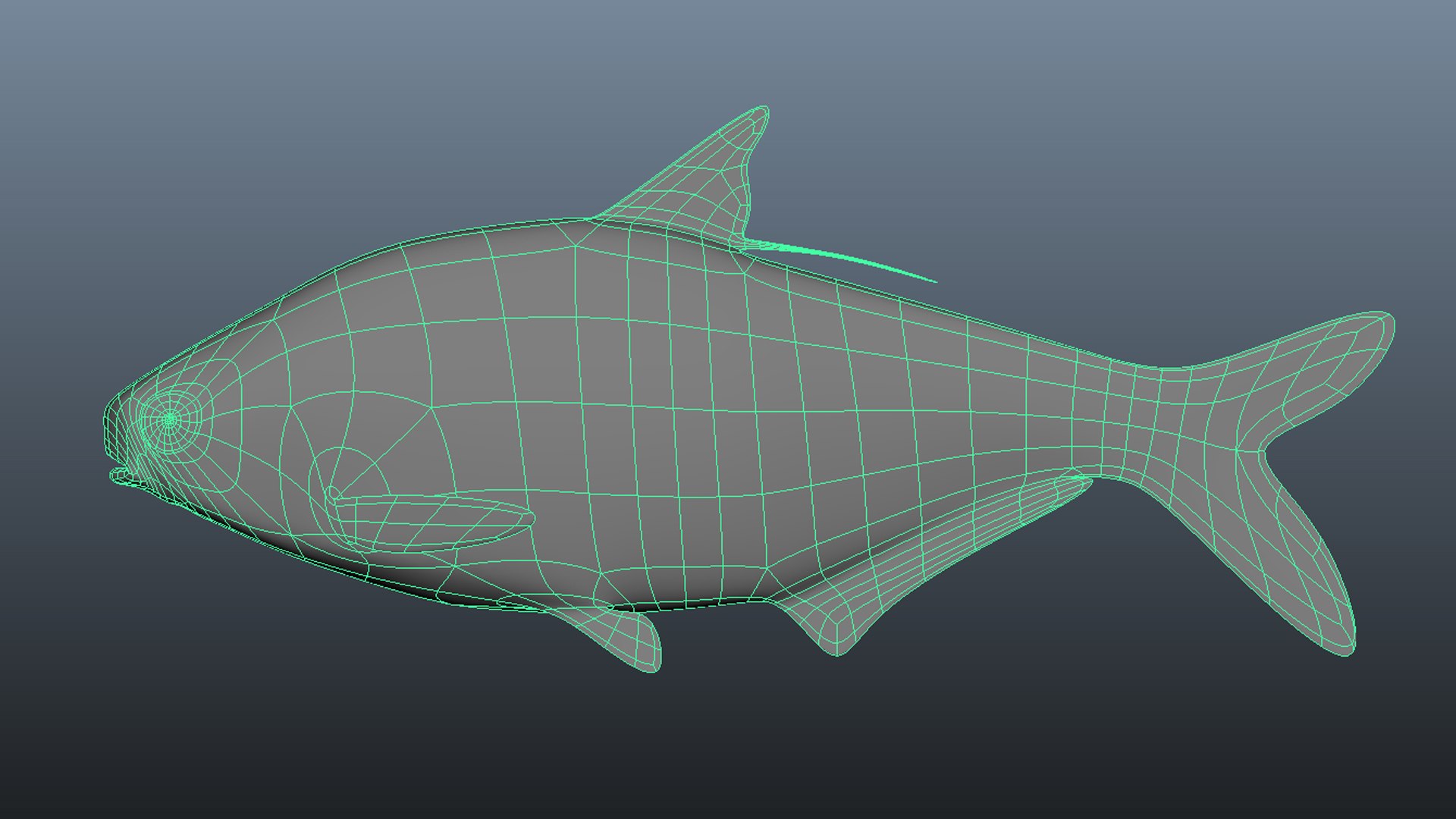 Shad Collection 3D - TurboSquid 1815359