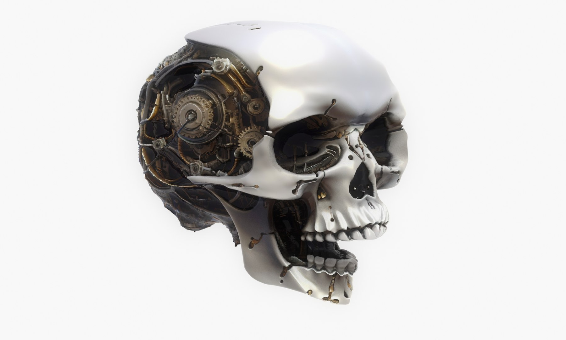 3D Cyborg Skulls Pack 4 - TurboSquid 2071433