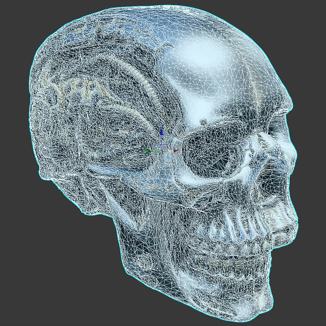 3D Cyborg Skulls Pack 4 - TurboSquid 2071433