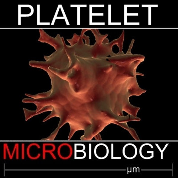 3D Platelets Models | TurboSquid