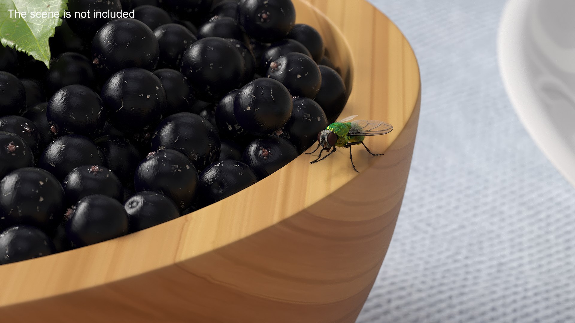 3D Insect Flies Collection - TurboSquid 2407142