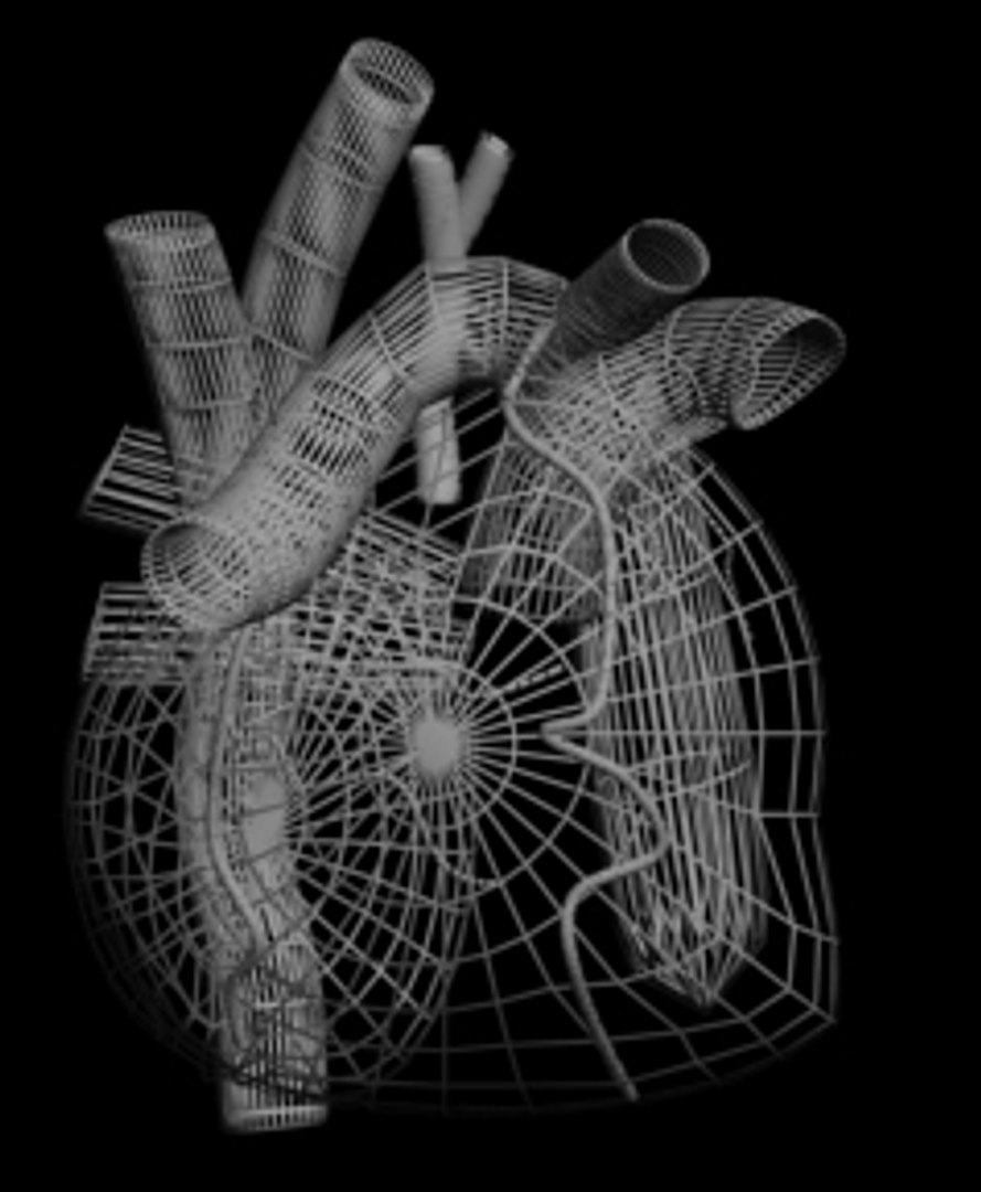 Free Max Mode Human Heart