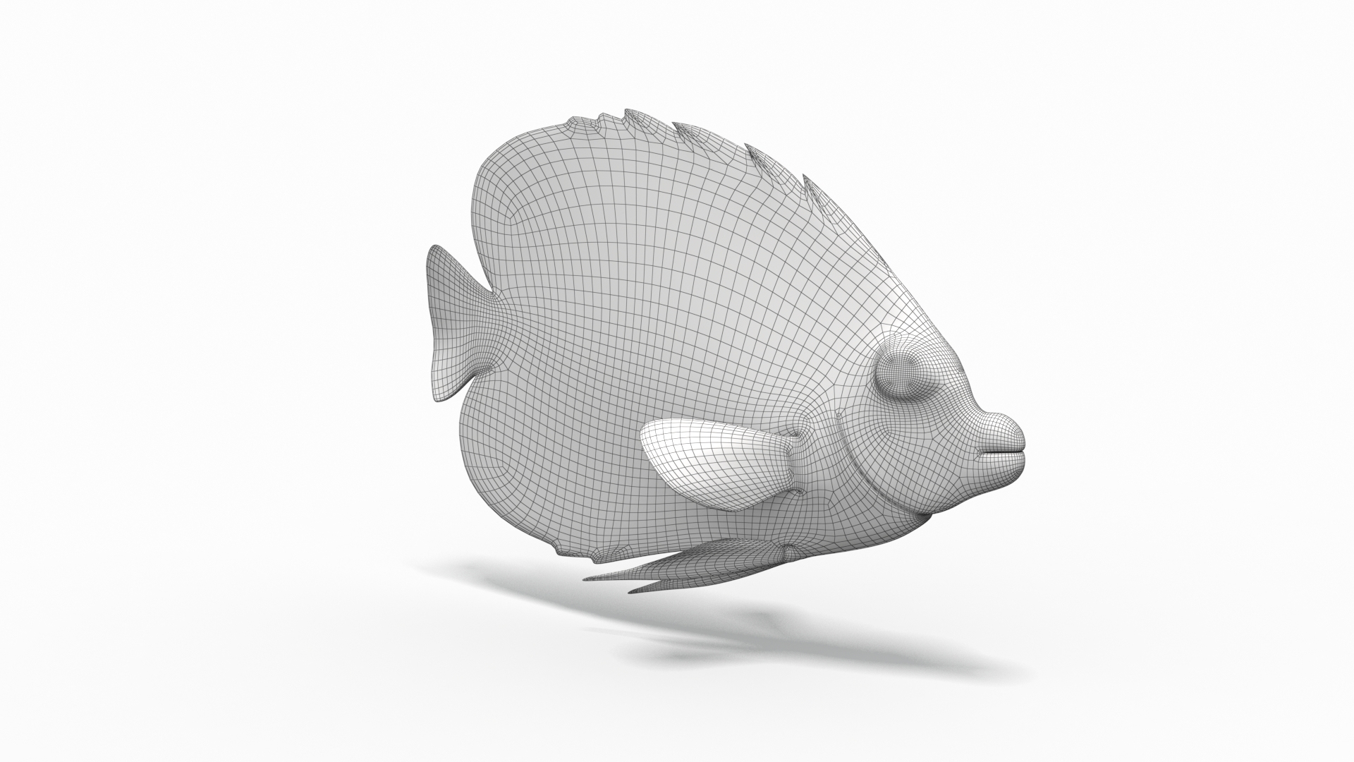 3D Emperor Angelfish Fish Animation - TurboSquid 1577605