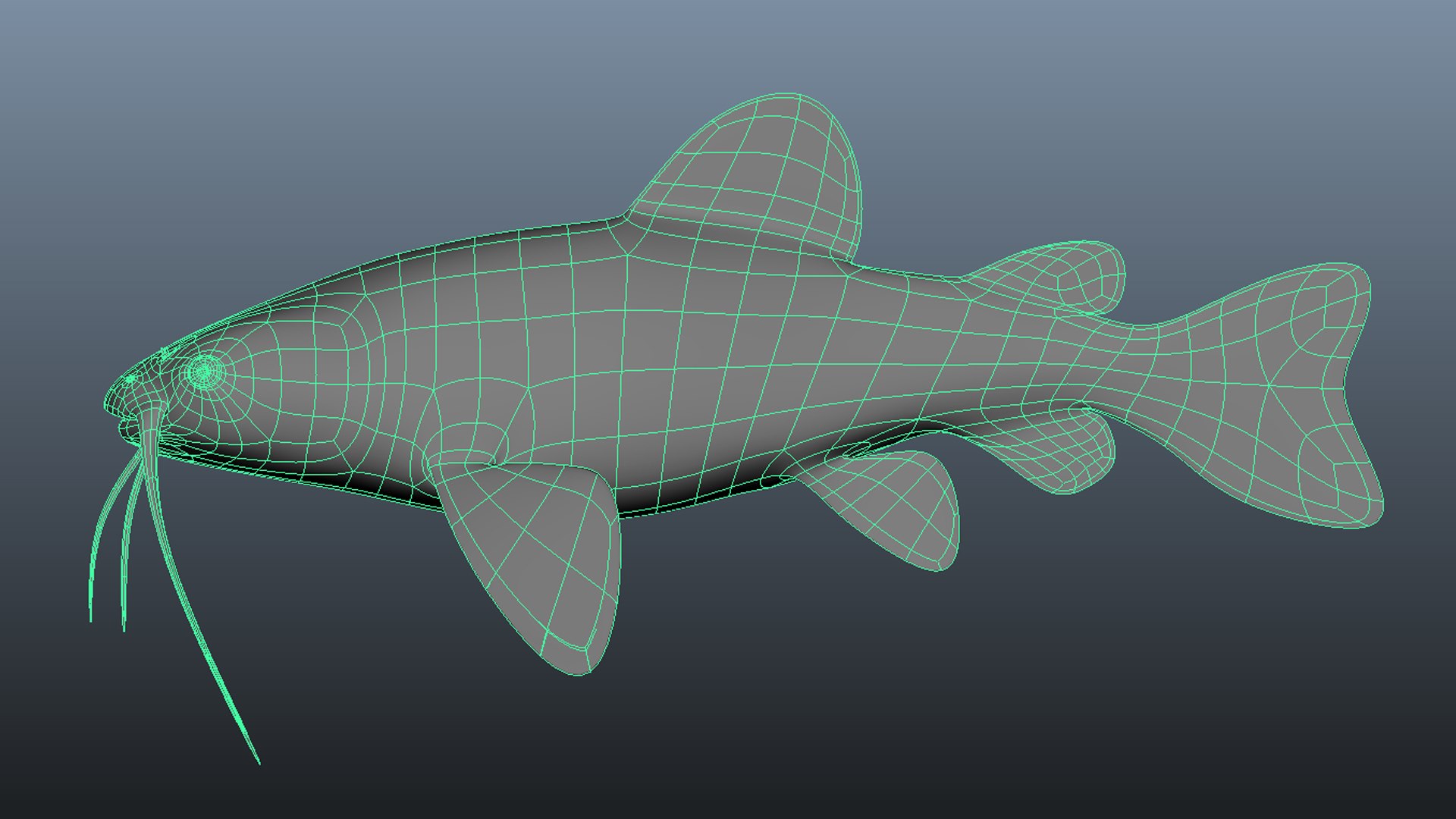 3D Red Tailed Catfish 3 Model - TurboSquid 1743324