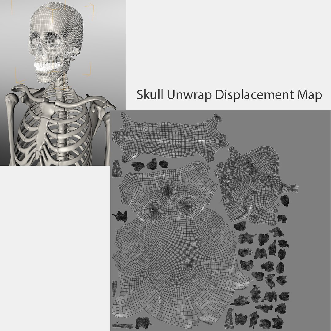 3d accurate human skeleton model
