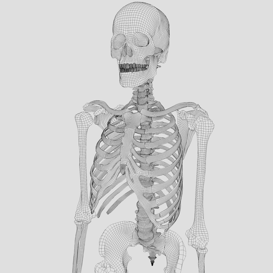 3d Accurate Human Skeleton Model