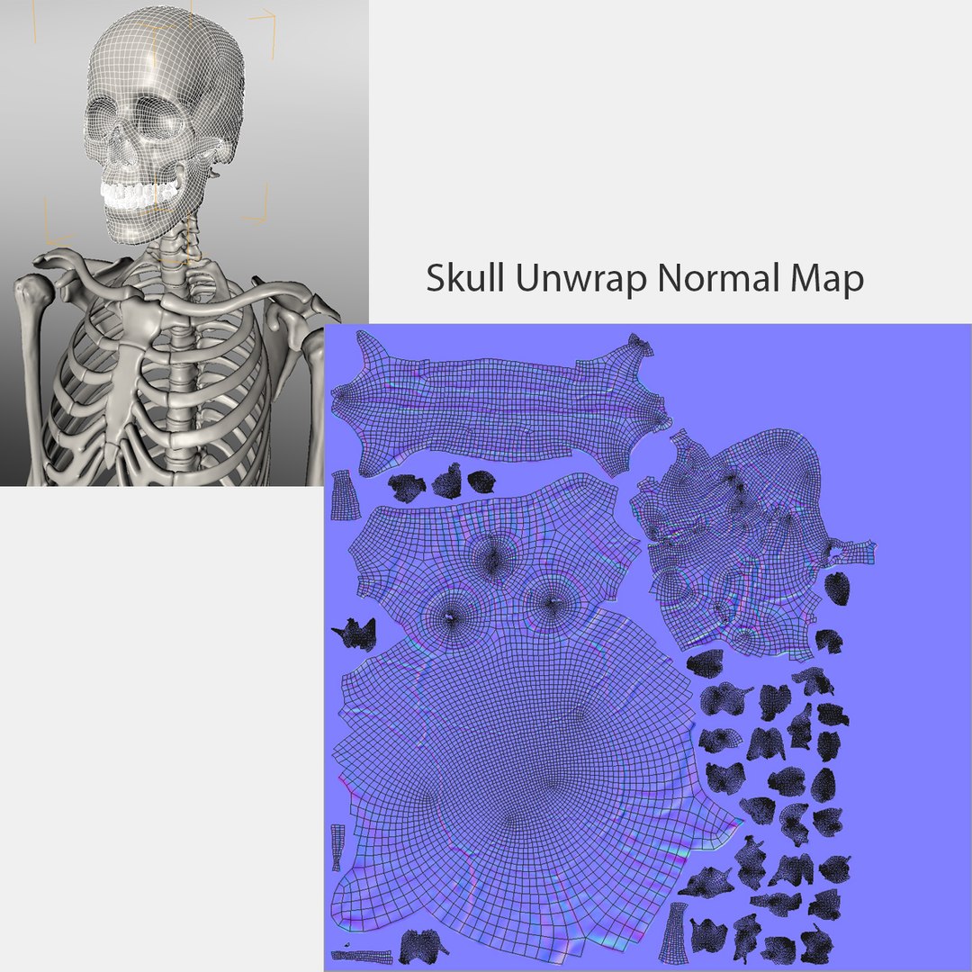 3d accurate human skeleton model