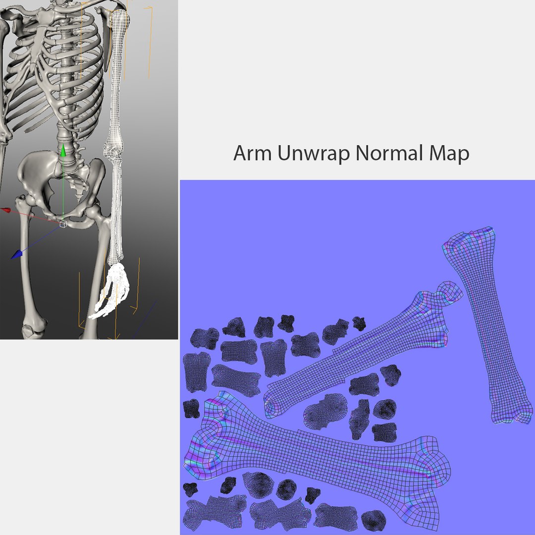 3d accurate human skeleton model